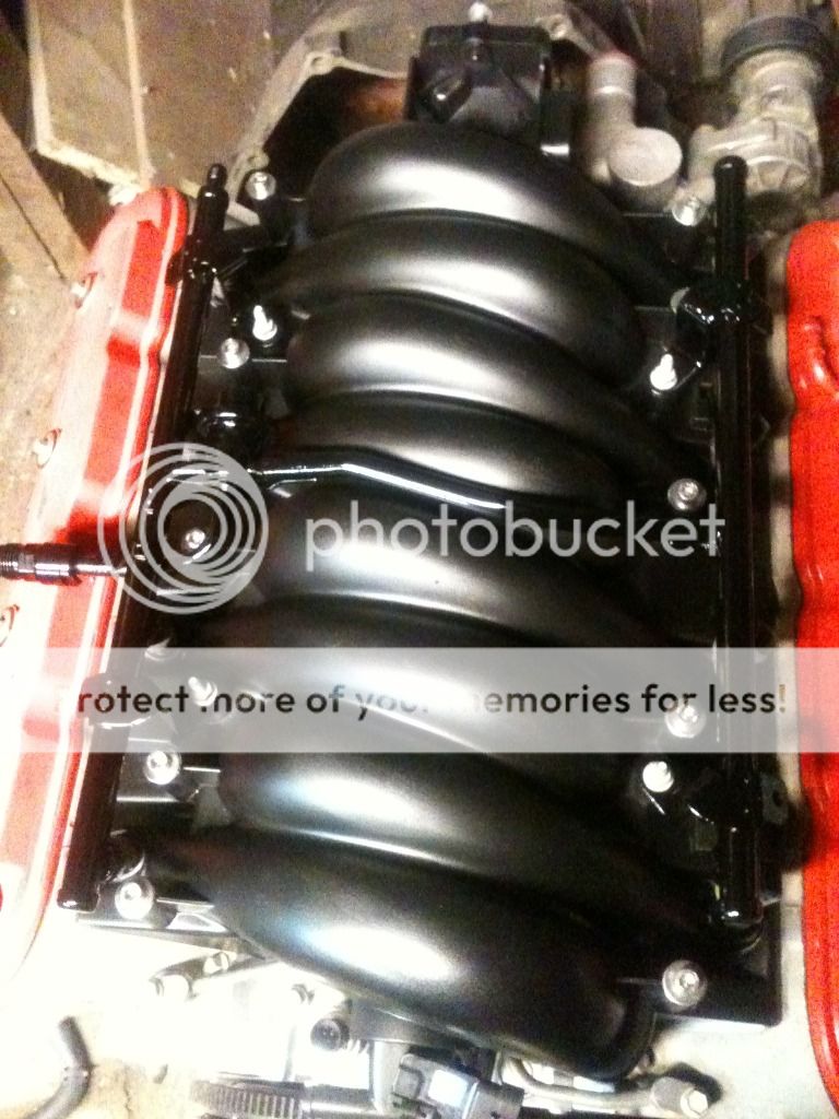 Ls1 Intake Fuel Injectors at Jill Deleon blog